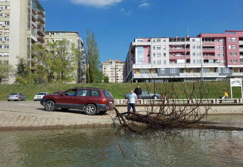 Pančevo: iz reke izvučena stabla koja su otežavala plovidbu