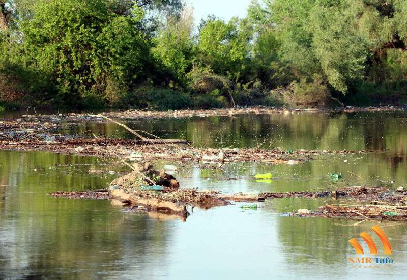 Tamiš: Voda dovukla tone smeća iz Rumunije (VIDEO)
